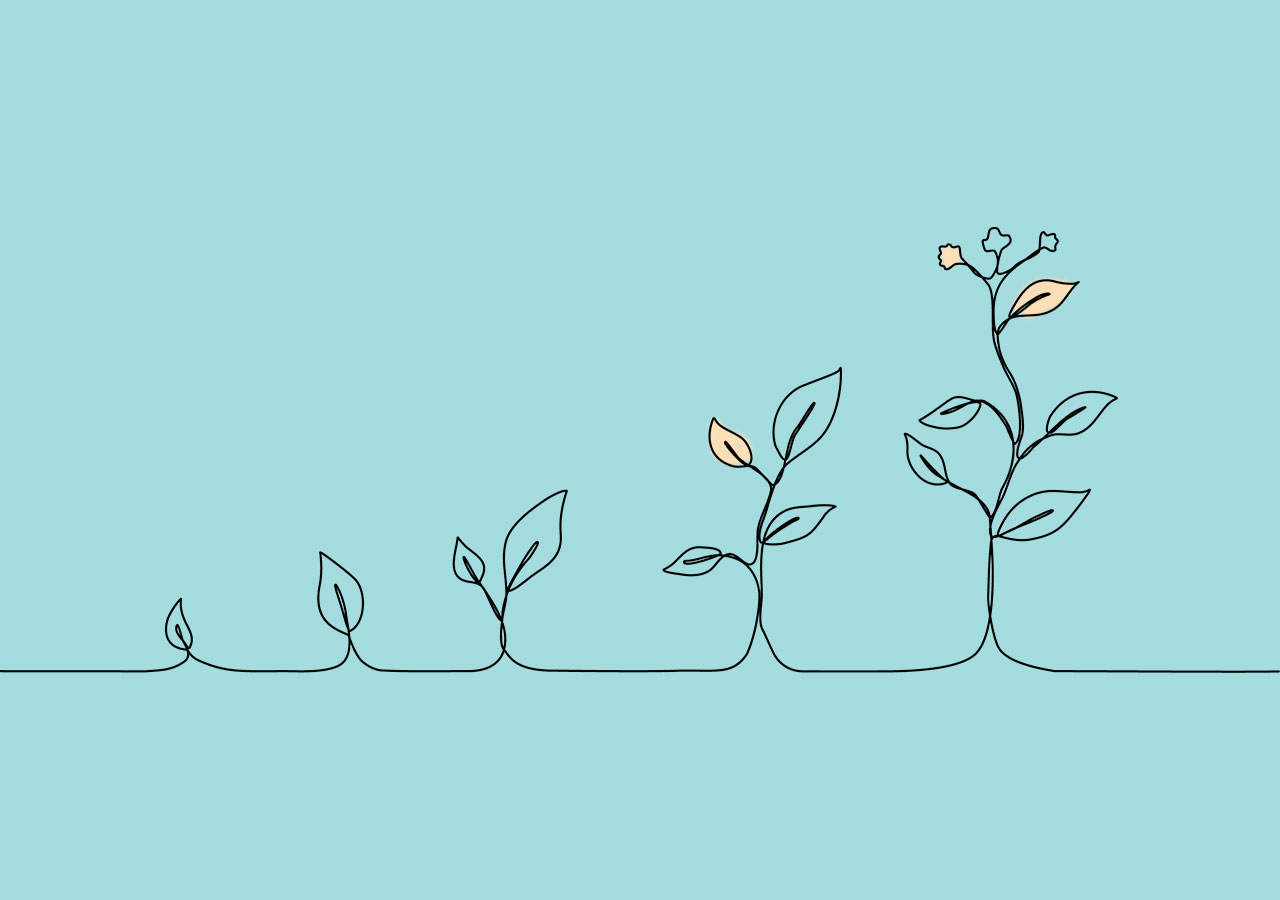 Rådgivning, der sætter værdiskabende aftryk - Pluss